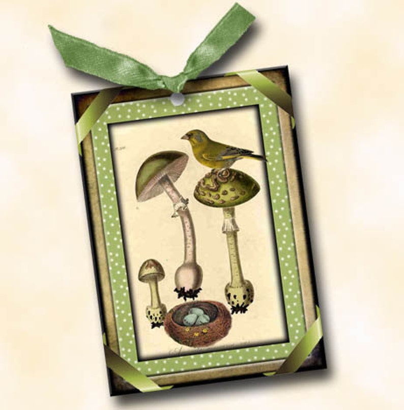 Mushrooms Toadstools Vintage Art Tags Cards Labels Instant Etsy