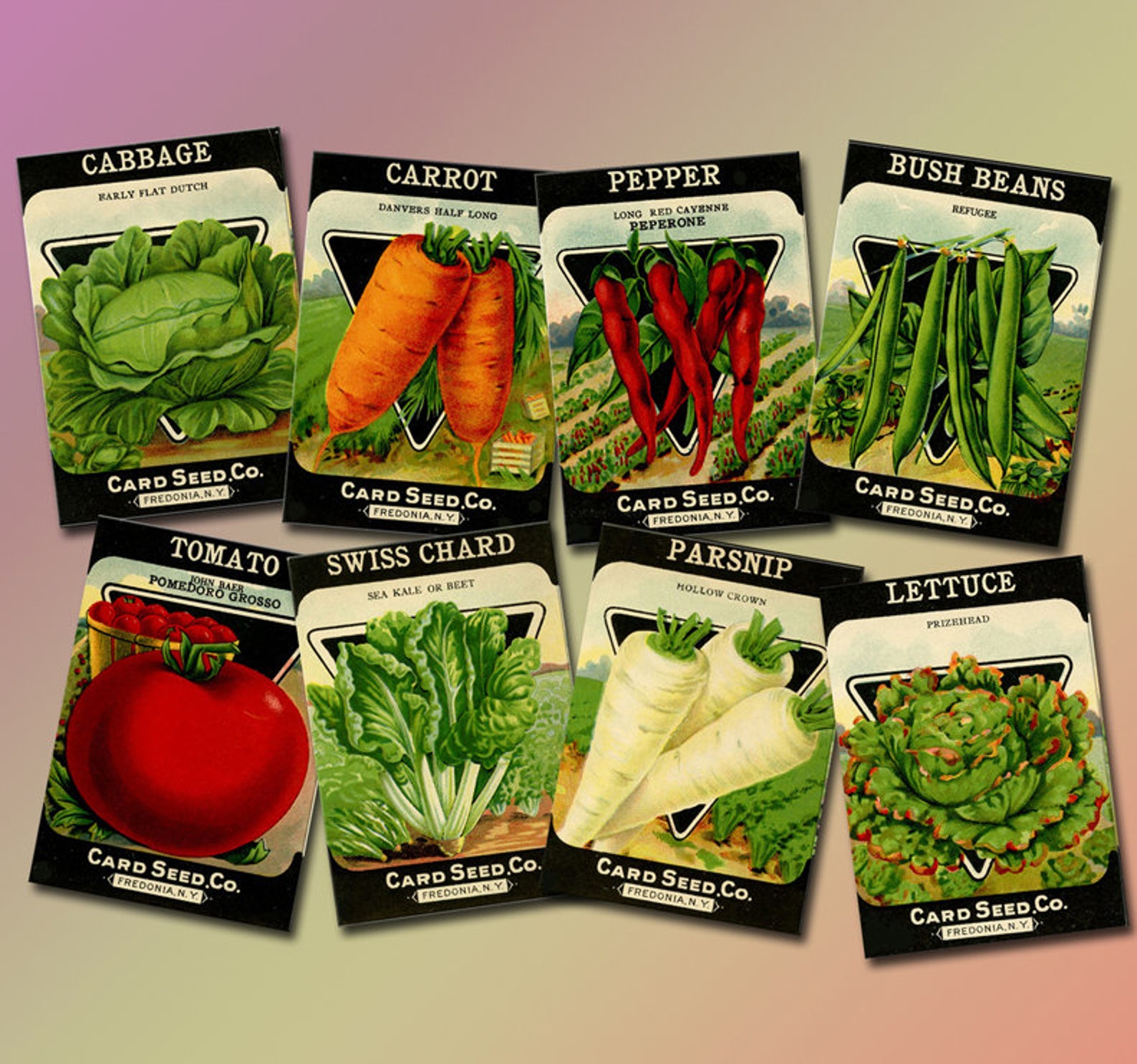 JPG Digital File- Images of 16 Vegetable Seed Packets -vintage Colorful ...