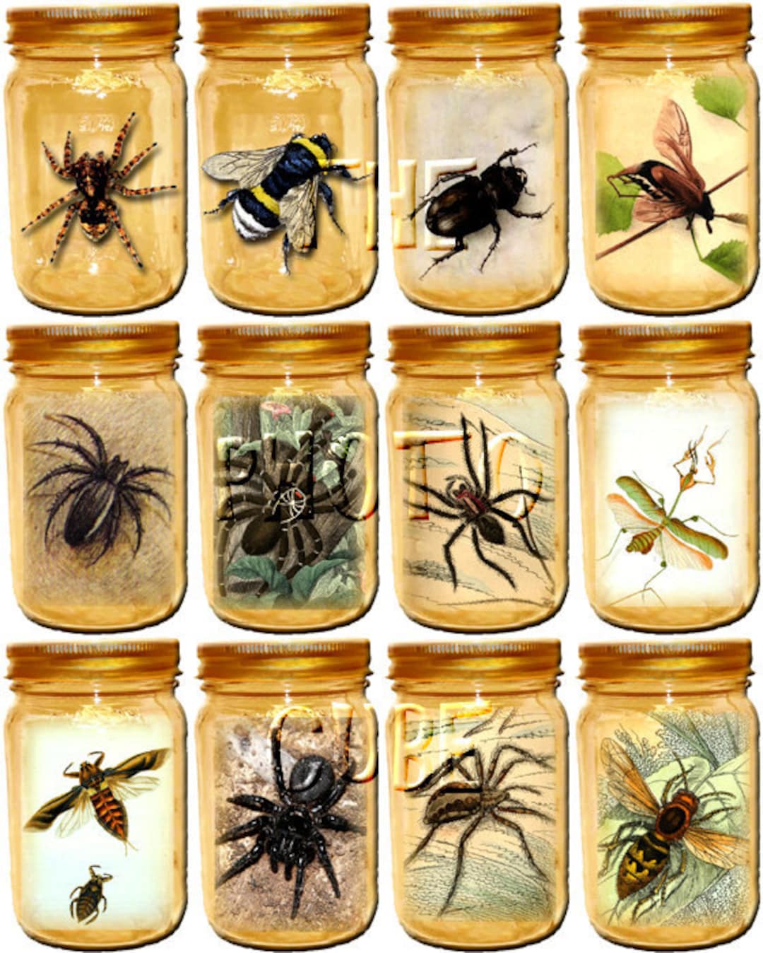 Creepy Crawly Bugs, Spiders Insects in a Jar -tags- Craft Supplies ...