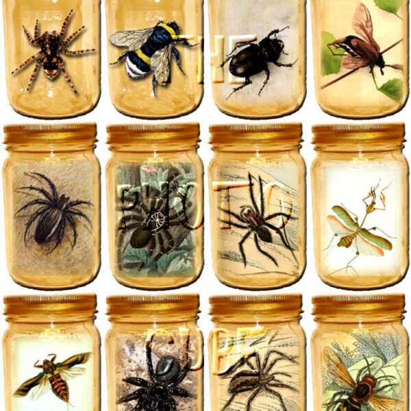 Creepy Crawly Bugs - Etsy