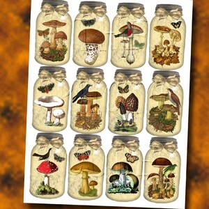 Magical Mushroom Garden in A Jar -vintage Art Hang/gift Tags/cards ...