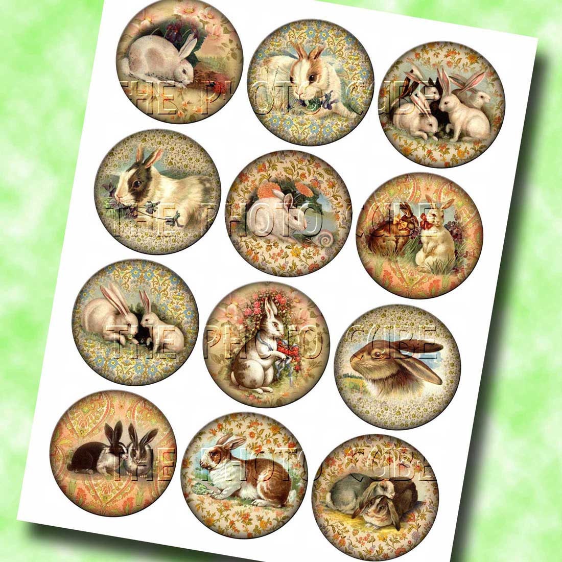 Bunny RABBIT Vintage Art 2.5 Inch Circles for Labels Cupcake - Etsy