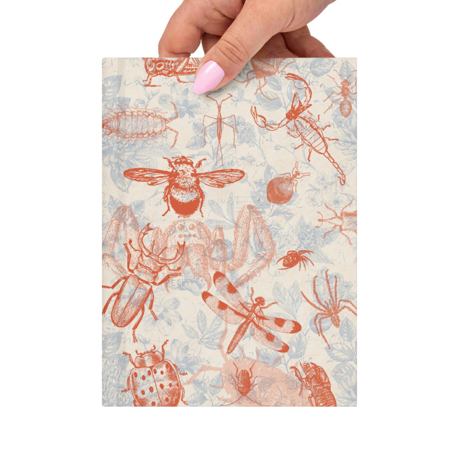 Entomology Journal | Vintage Bug Illustration Notebook | Insect ...