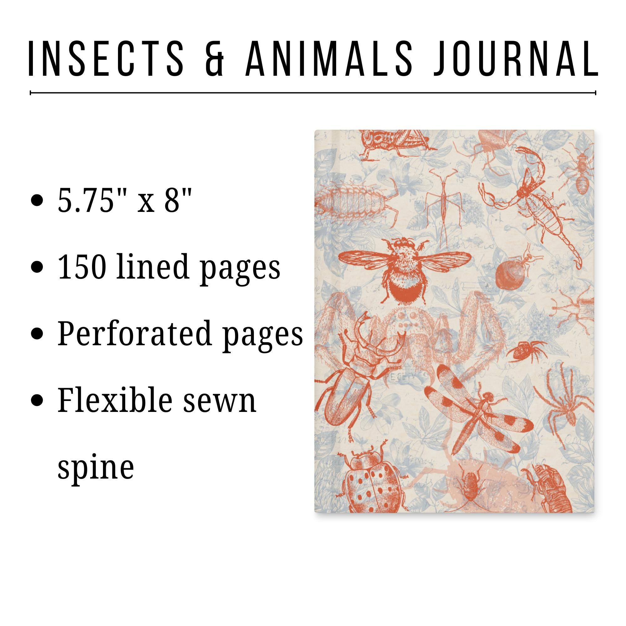 Entomology Journal | Vintage Bug Illustration Notebook | Insect ...
