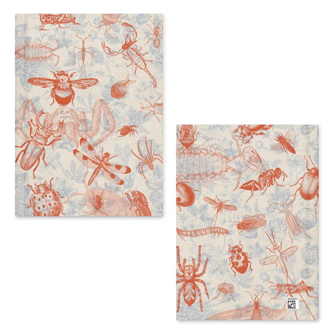 Entomology Journal | Vintage Bug Illustration Notebook | Insect ...