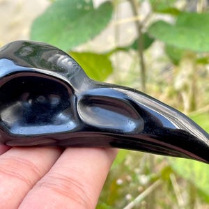 2.95" Natural Obsidian Crow Skull,home Decoration,quartz Crystal Birds Skull,crystal Gifts ...
