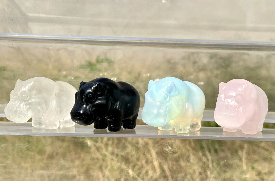 Natural Quartz Crystal Hippo Skull: Healing Crystal Gift (1.7") - Etsy