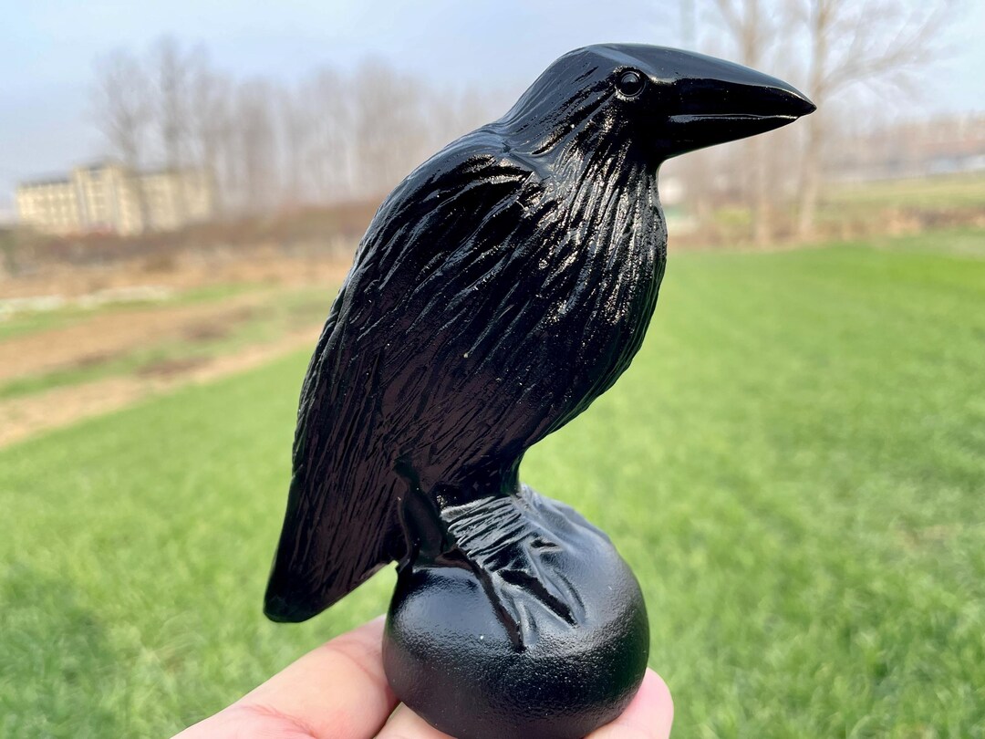 Hand Carved Obsidian Crow Skull: Crystal Bird Sculpture (4.7 Inch) - Etsy