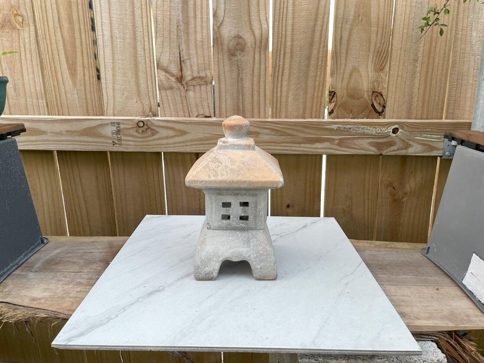 PREMIUM!! Mighty Japanese TRIDENT MAPLE Pre-bonsai, Great Trunk, 30 ...