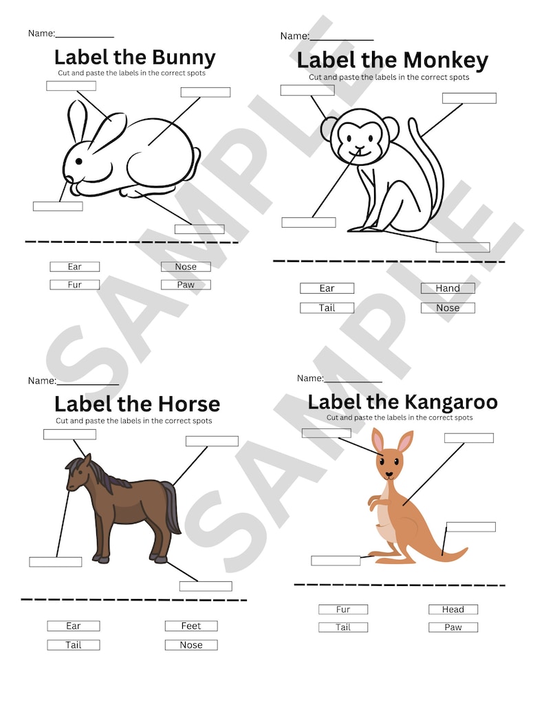 First Grade 1 - Label the "picture" Bundle 25 Colored and B/W Animals ...