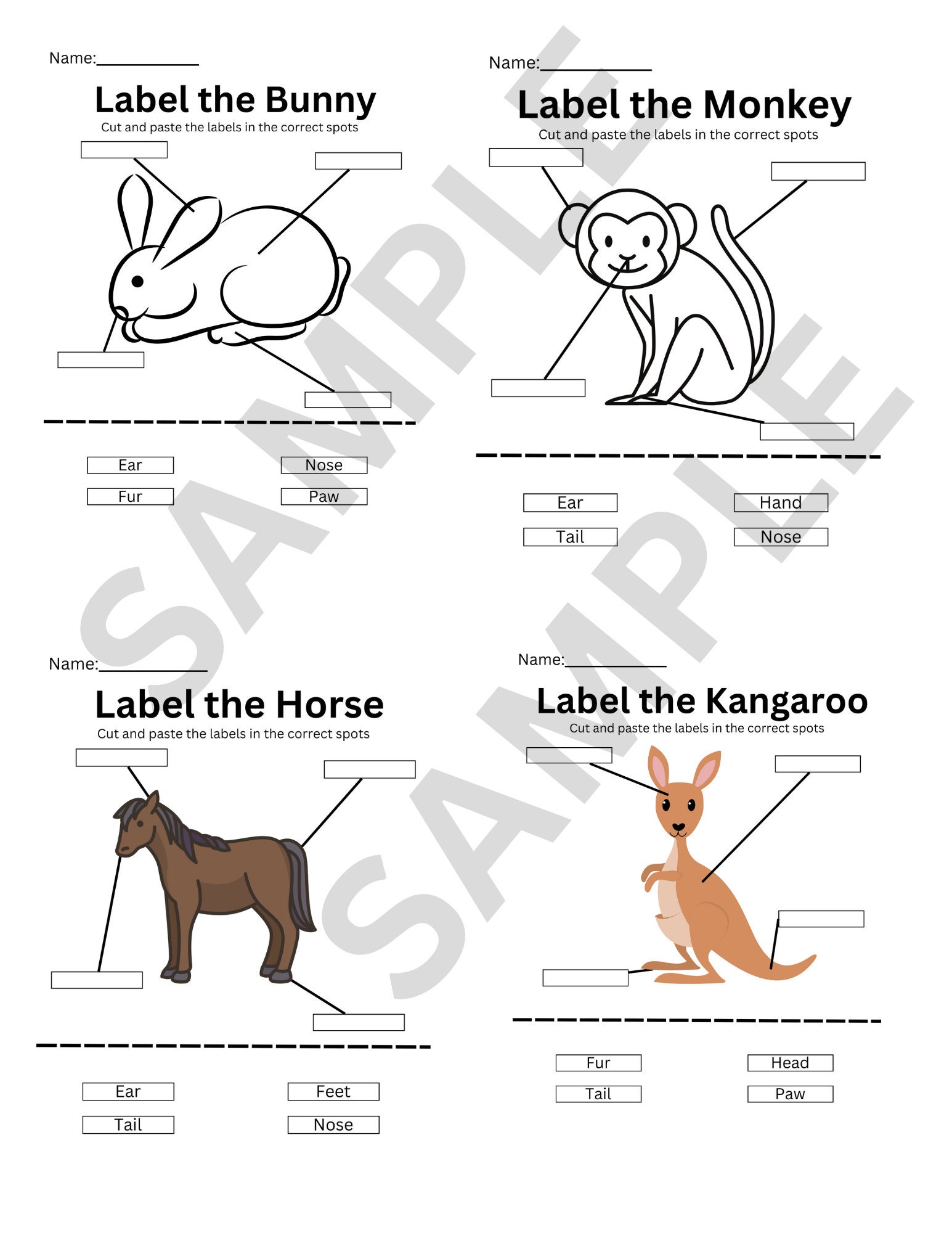 First Grade 1 - Label the "picture" Bundle 25 Colored and B/W Animals ...