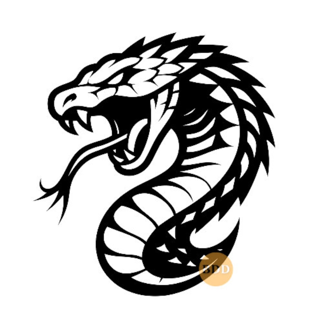 Snake SVG,PNG - Etsy