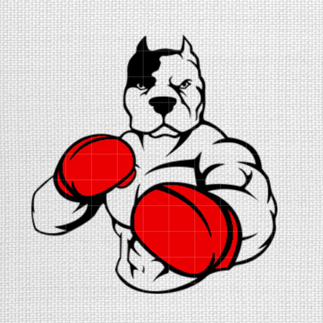 Pitbull Boxing SVG,PNG - Etsy