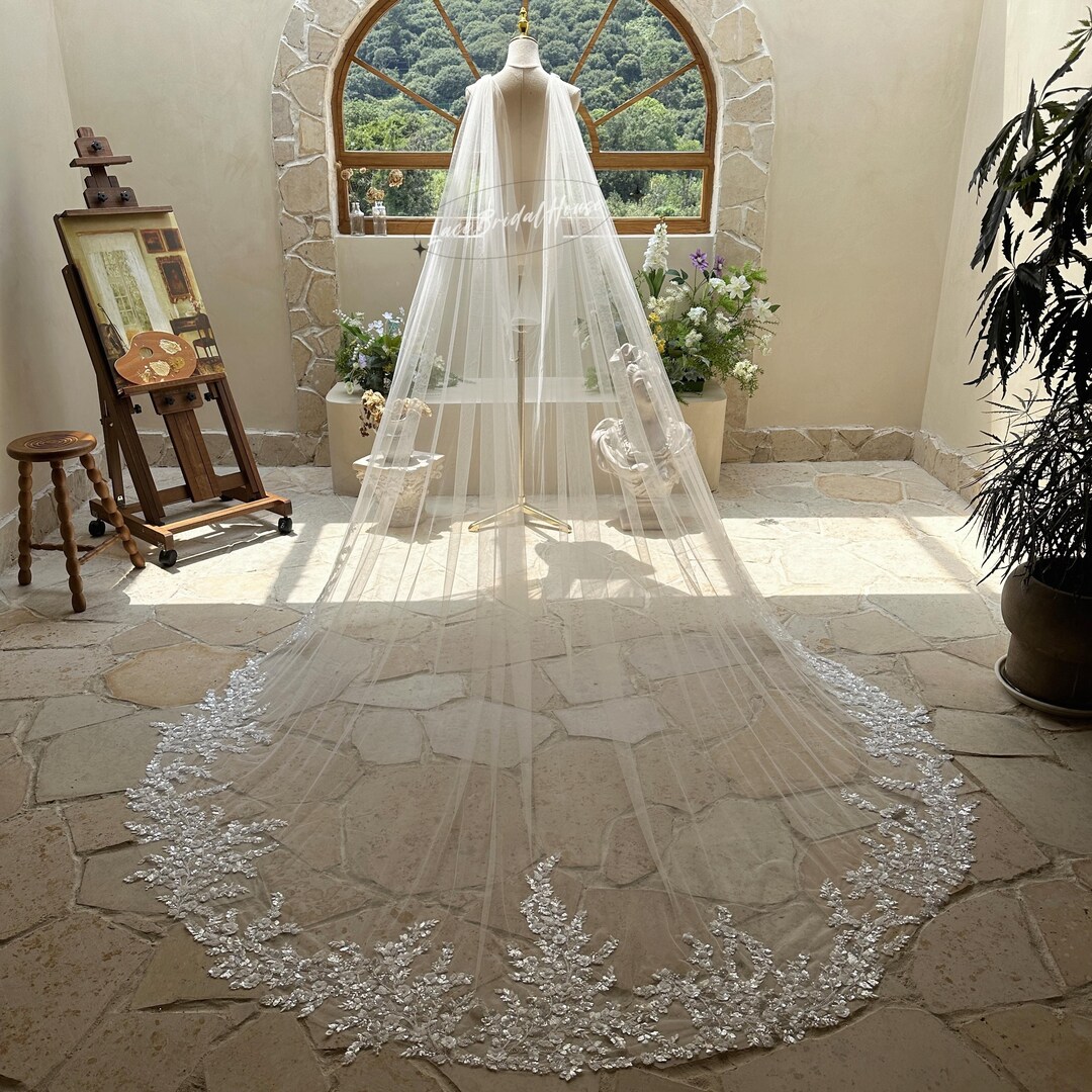 Glam Sequined Beaded Bridal Cape Veil. V-back Glitter Small Flowers ...