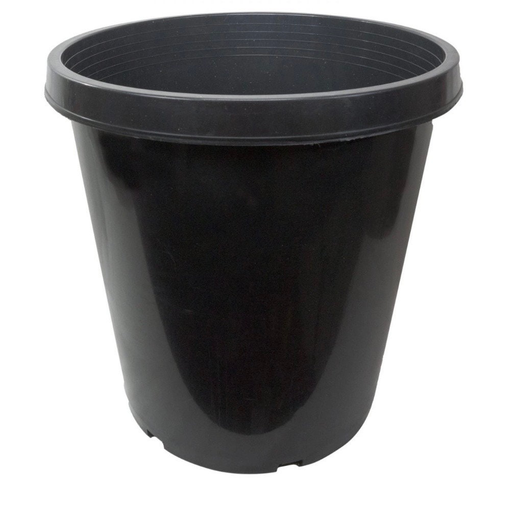 15 Gallon 5-pack Black Nusery Container Plant Pot FREE SHIPPING - Etsy