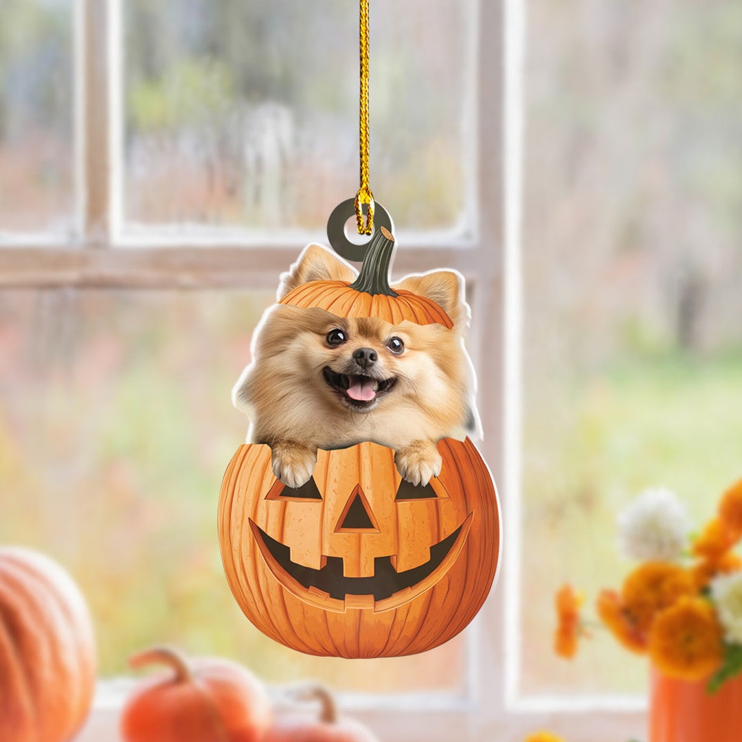 Personalized Pomeranian Dog Halloween Ornament, Pomeranian Dog Pumpkin ...