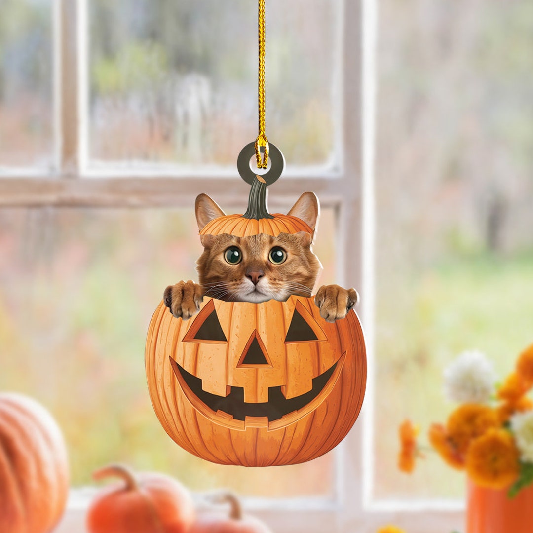 Personalized Somali Cat Halloween Ornament, Somali Cat Pumpkin Ornament ...
