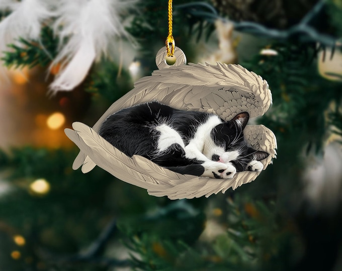 Personalized Ragdoll Cat Ornament, Get in Sit Down Shut up Hang on ...