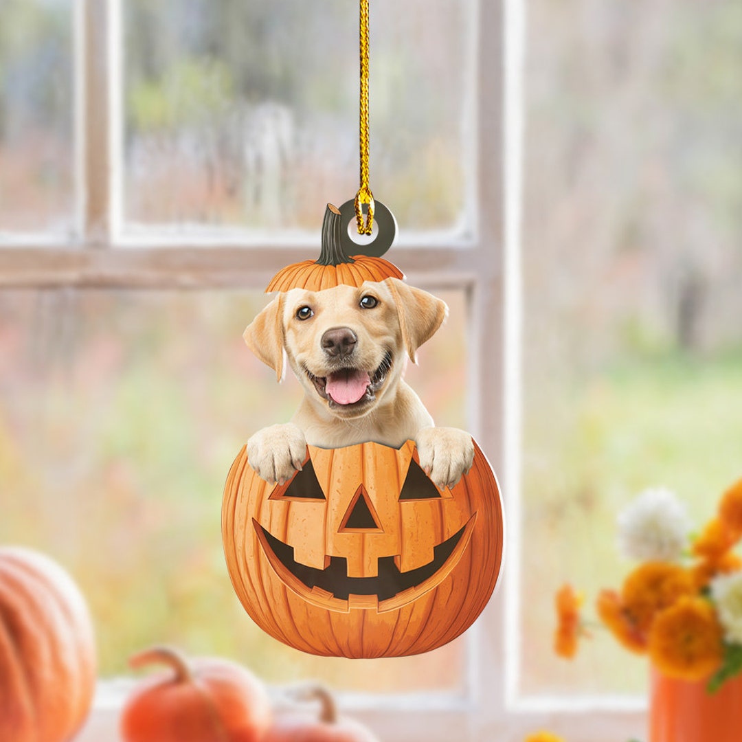 Personalized Labrador Retriever Dog Halloween Ornament, Labrador ...