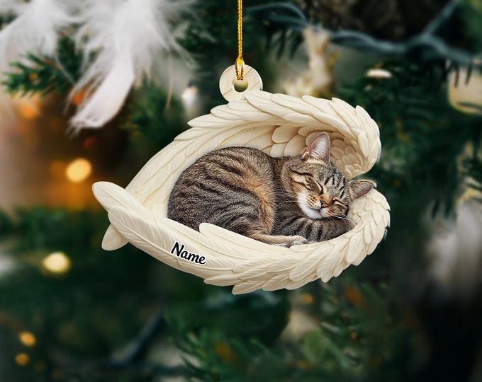 Personalized Ragdoll Cat Ornament, Get in Sit Down Shut up Hang on ...