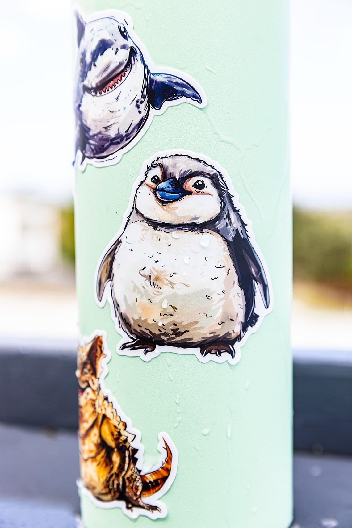 Pamela the Penguin; Cute and Chunky Cartoon Australian Animal Decal ...