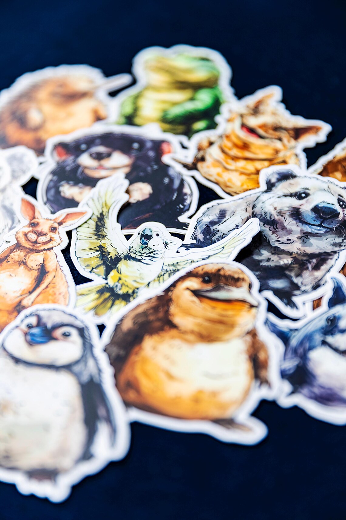 Pamela the Penguin; Cute and Chunky Cartoon Australian Animal Decal ...