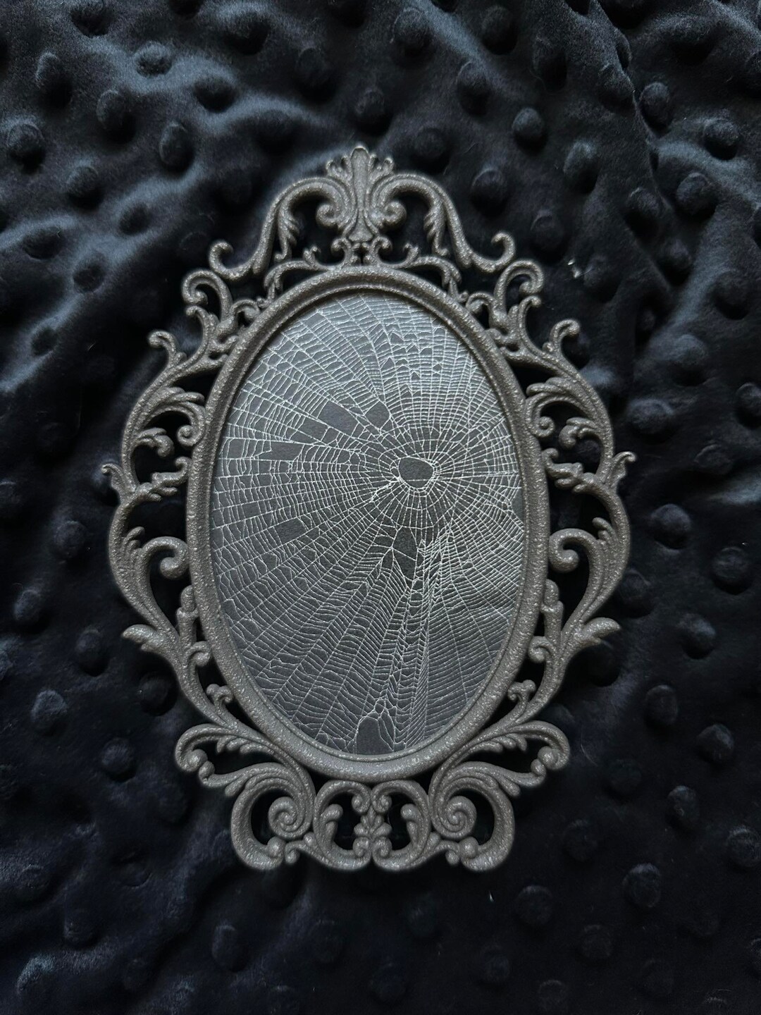 Real Orb Weaver Spider Web Pressed Inside Antique Frame - Etsy