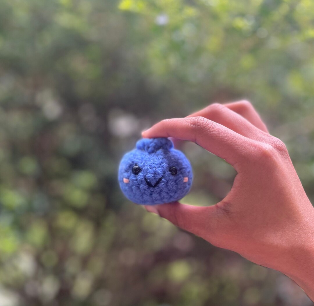 Mini Crochet Blueberry Mini Blueberry Plush Amigurumi - Etsy