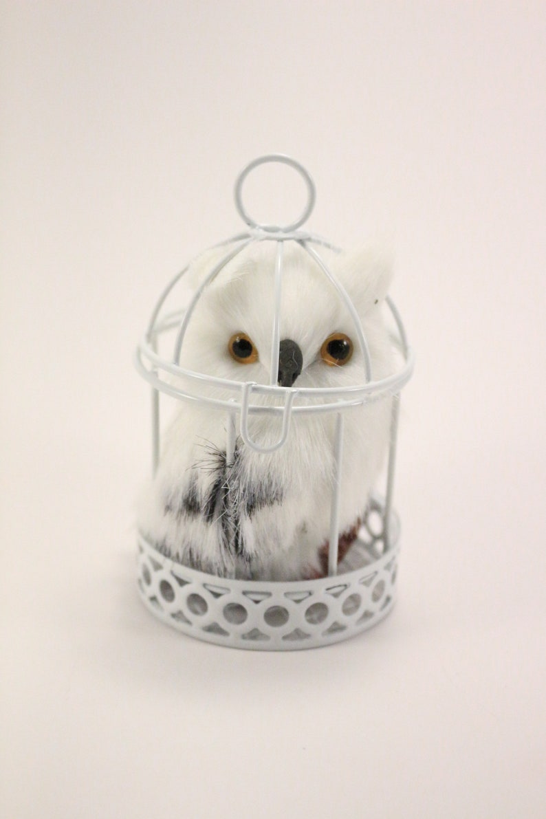 Harry Potter Magic Themed Goodie Gift Box - Etsy