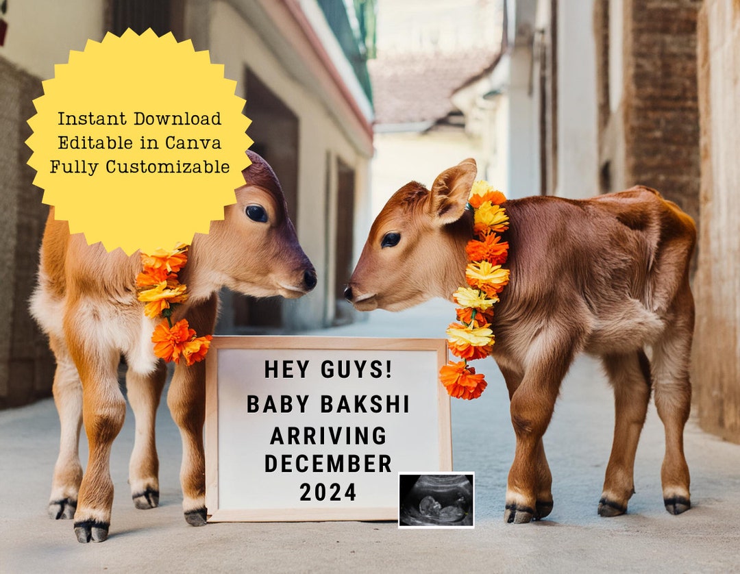 Hey Guys Indian Baby Pregnancy Announcement | Indian Baby Announcement ...