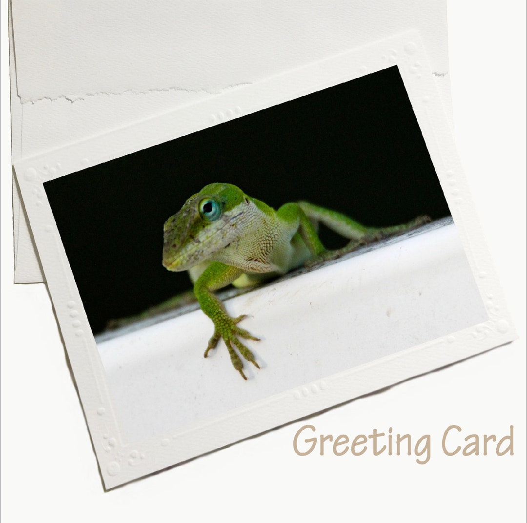 Lizard Note Card, Lizard Stationary, Lizard Greeting Card, Lizard Gift ...