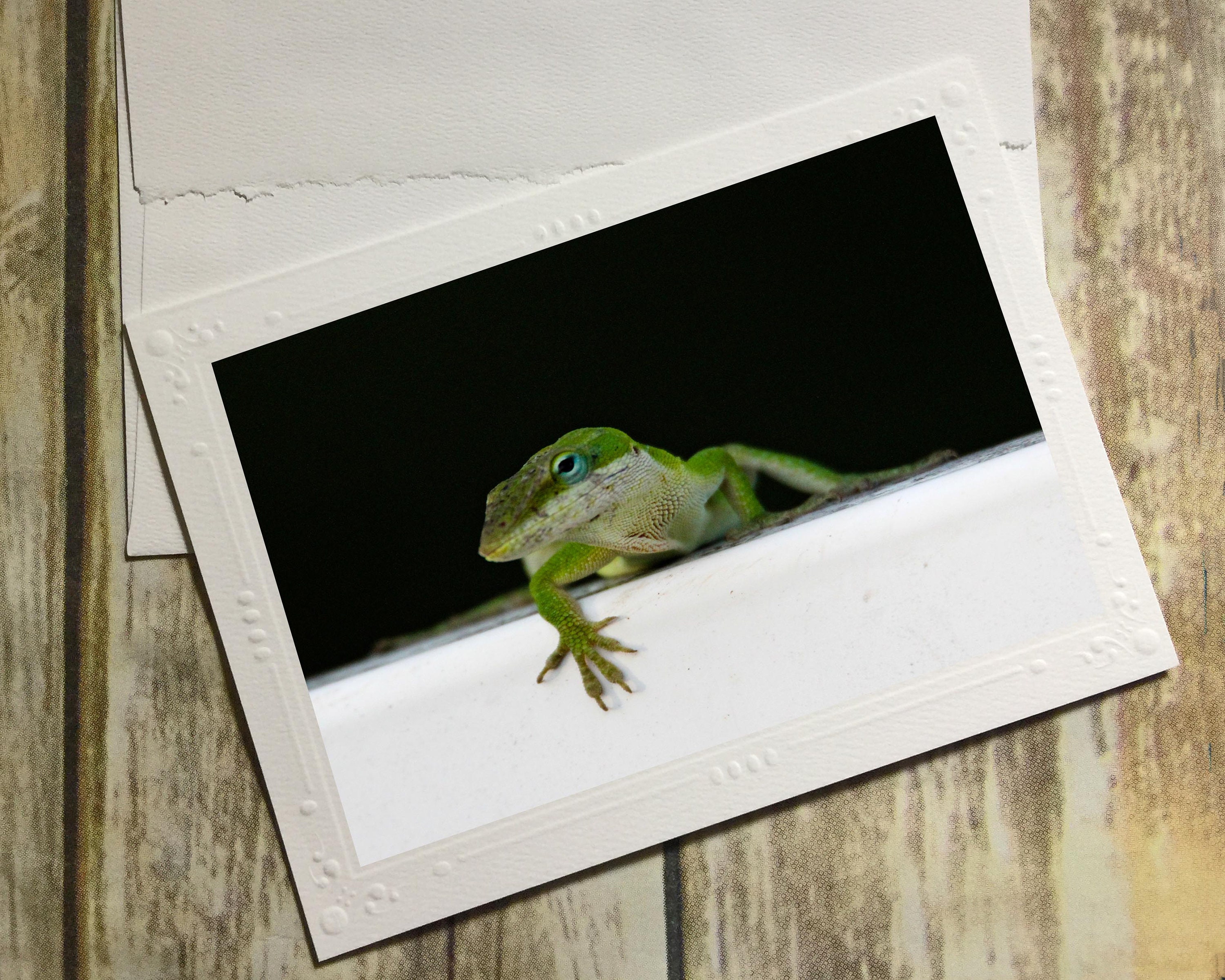 Lizard Note Card, Lizard Stationary, Lizard Greeting Card, Lizard Gift ...