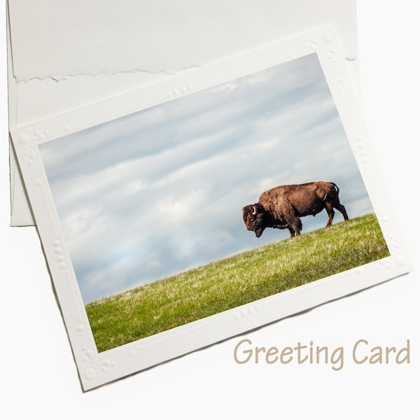 Bison Greeting Card - Etsy