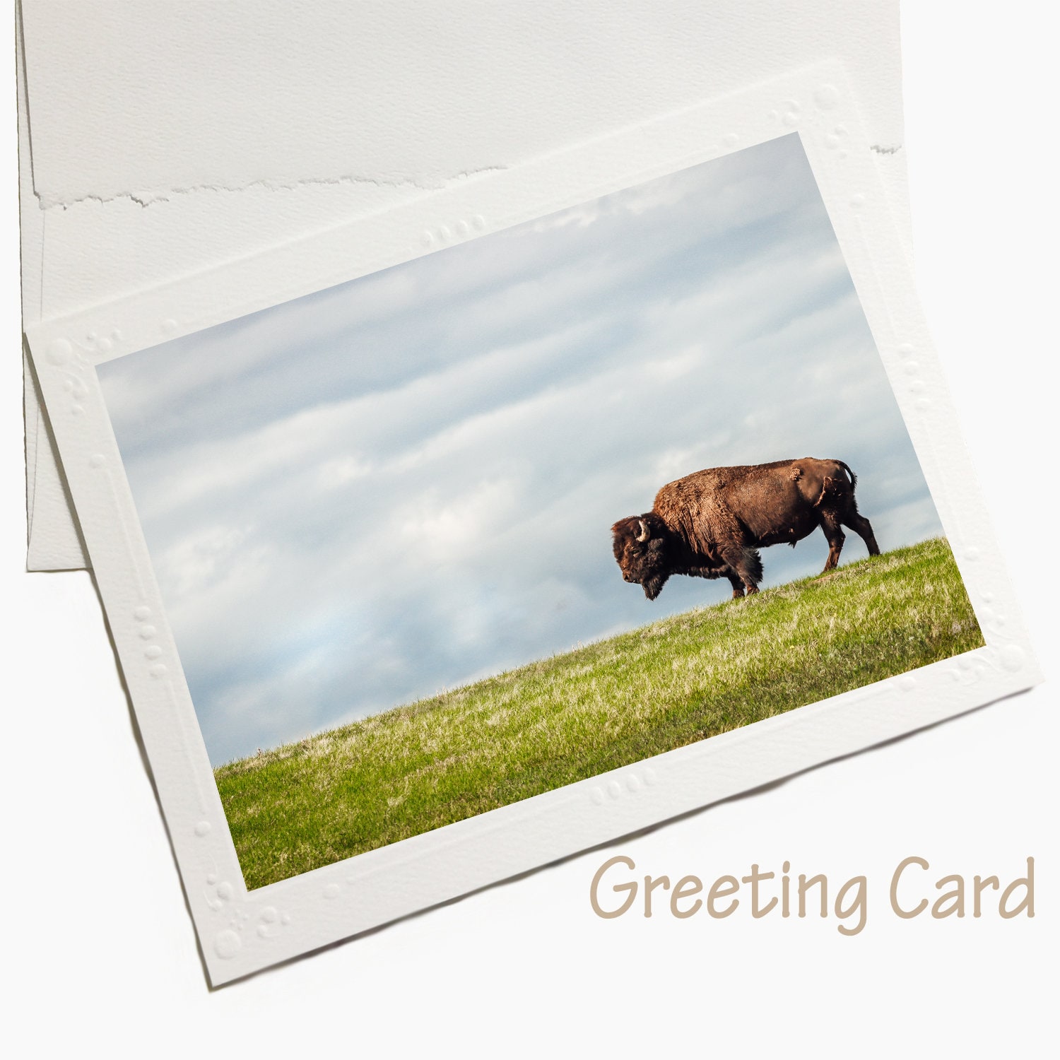 Bison Card, Bison Greeting Card, Bison Stationary, Buffalo Card ...