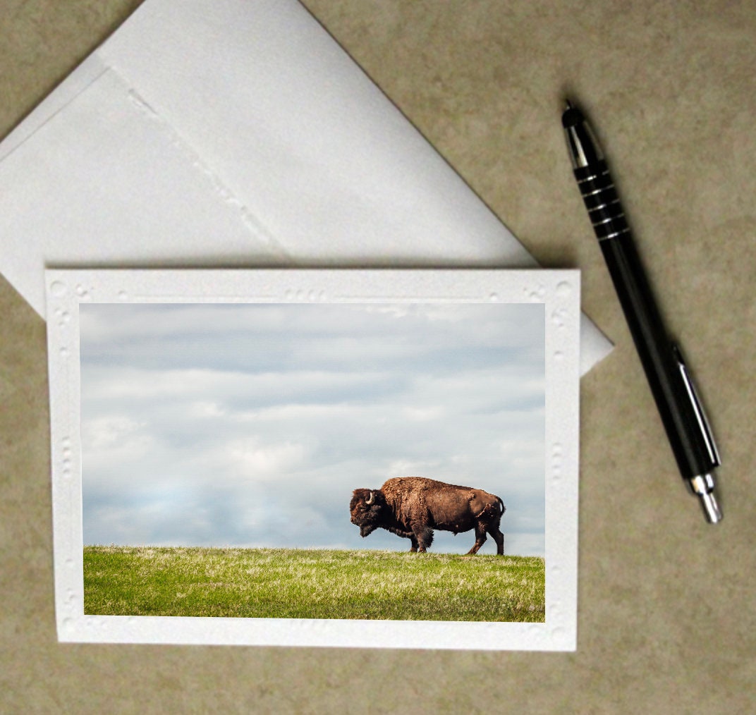 Bison Card, Bison Greeting Card, Bison Stationary, Buffalo Card ...
