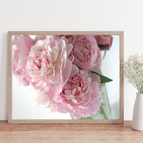 Pink Peony Photo Floral Wall Art Peony Print Peony Wall - Etsy