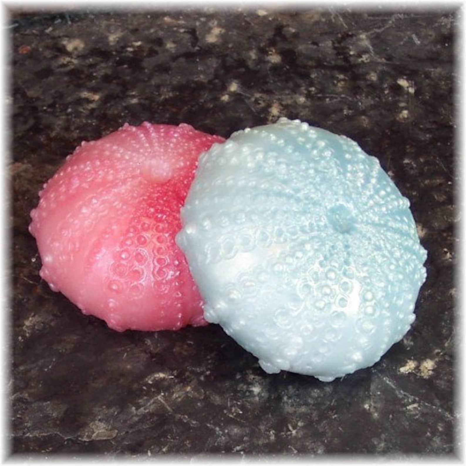 Sea Shell Soap Beach Soaps Decorative Bath Soap Gift Set - Etsy