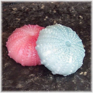 Sea Shell Soap, Beach Soaps, Decorative Bath Soap Gift Set, Set of 4 ...