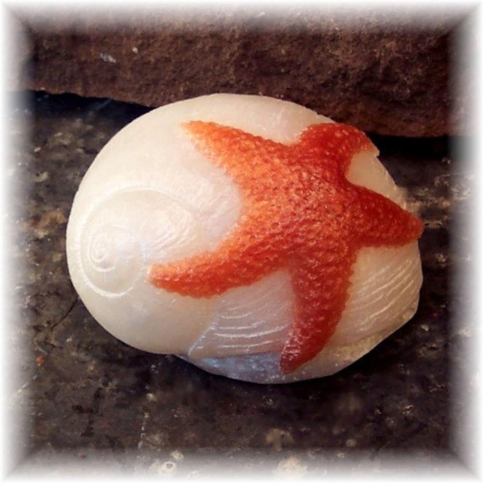 Sea Shell Soap Beach Soaps Decorative Bath Soap Gift Set - Etsy