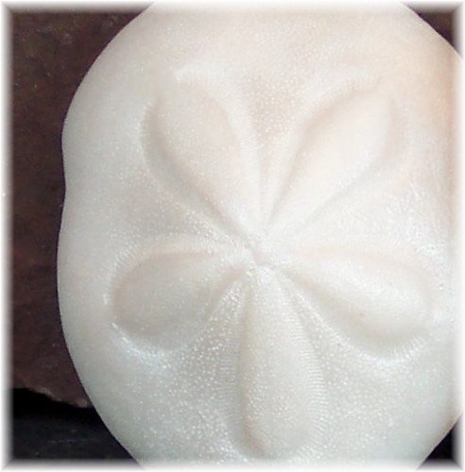 Sea Shell Soap Beach Soaps Decorative Bath Soap Gift Set - Etsy