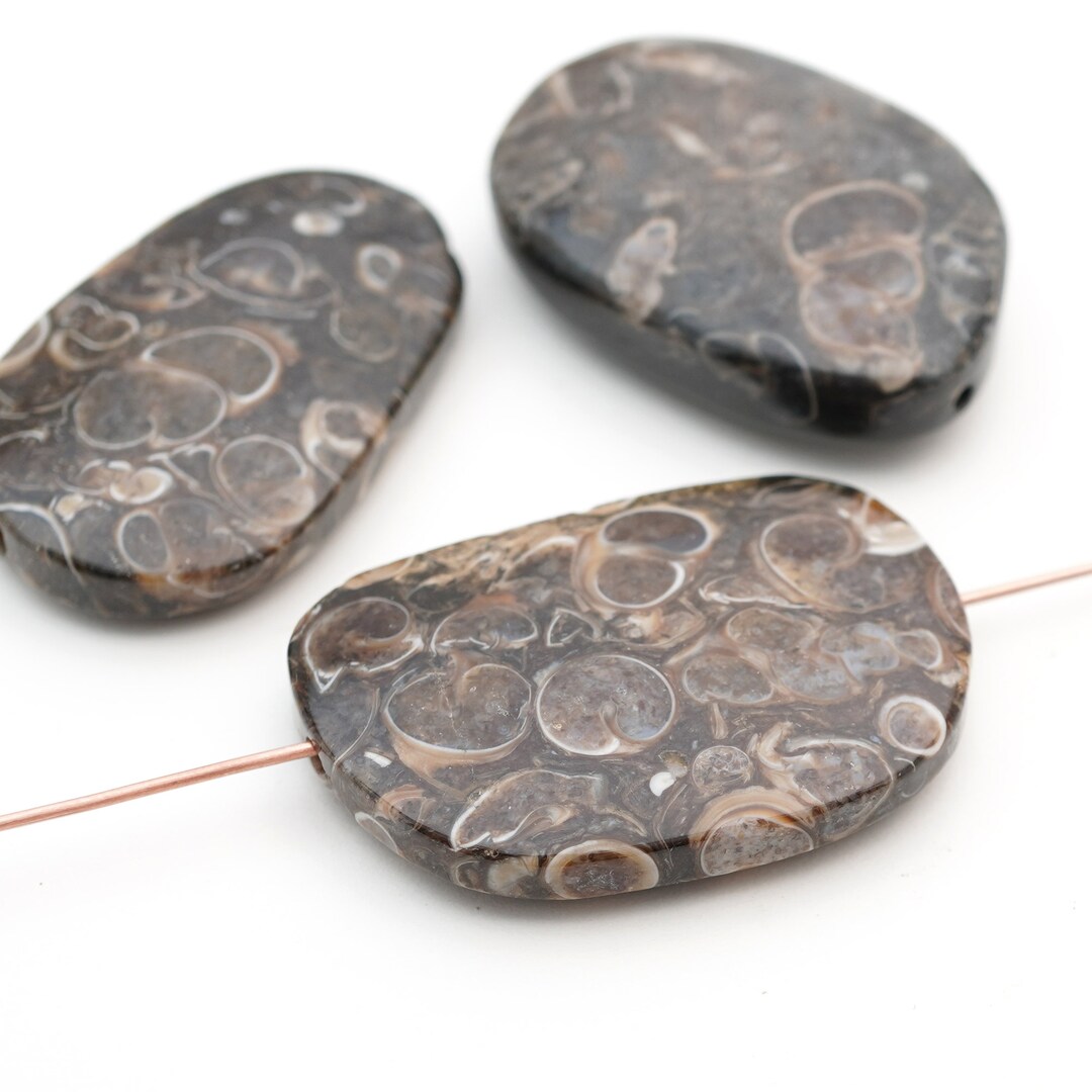 3 Pcs Large Freeform Oval Turritella Agate Beads, Black White Fossil ...