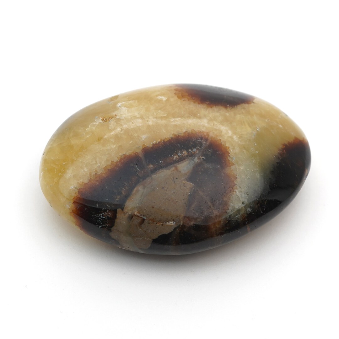 Septarian Nodule Rock Palm Stone, Polished Oval Palmstone, Fossilized ...