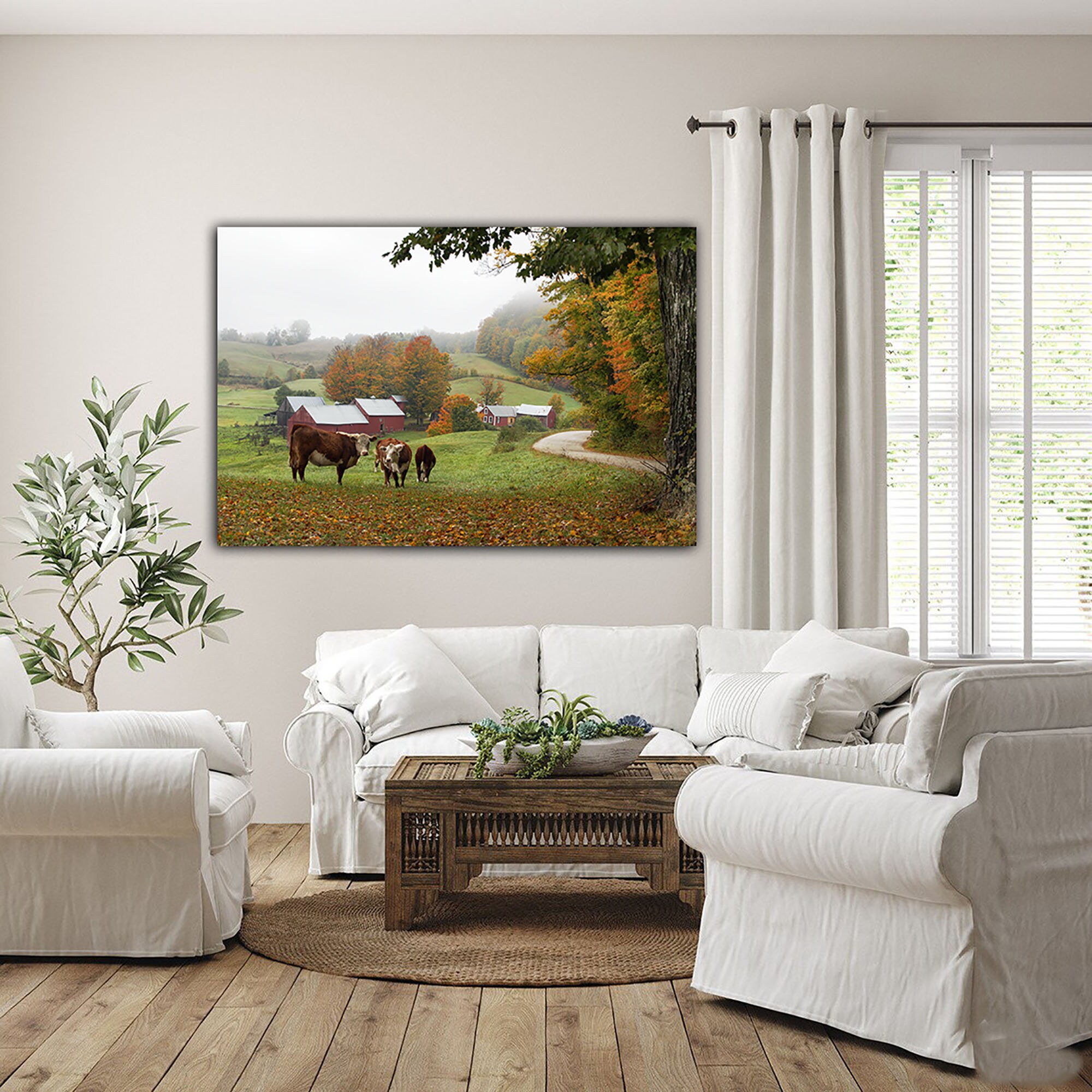 Jenne Farm With Cows - Reading, Vermont Fall Foliage Photograph Print ...