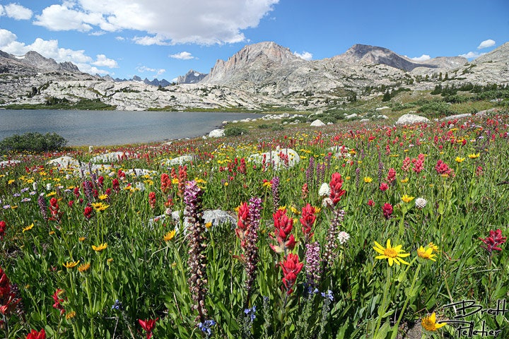 Red Basin Prints - Etsy