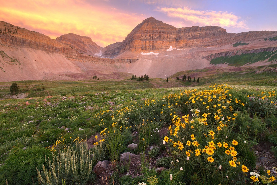 Mount Timpanogos Wildflower Sunset Print: Wasatch Mountains Landscape Art - Etsy