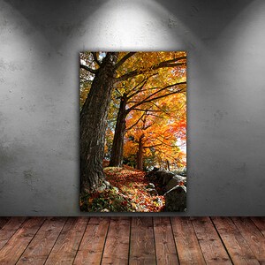 Fall Foliage - New Hampshire Farm - Photograph Print Poster Picture ...