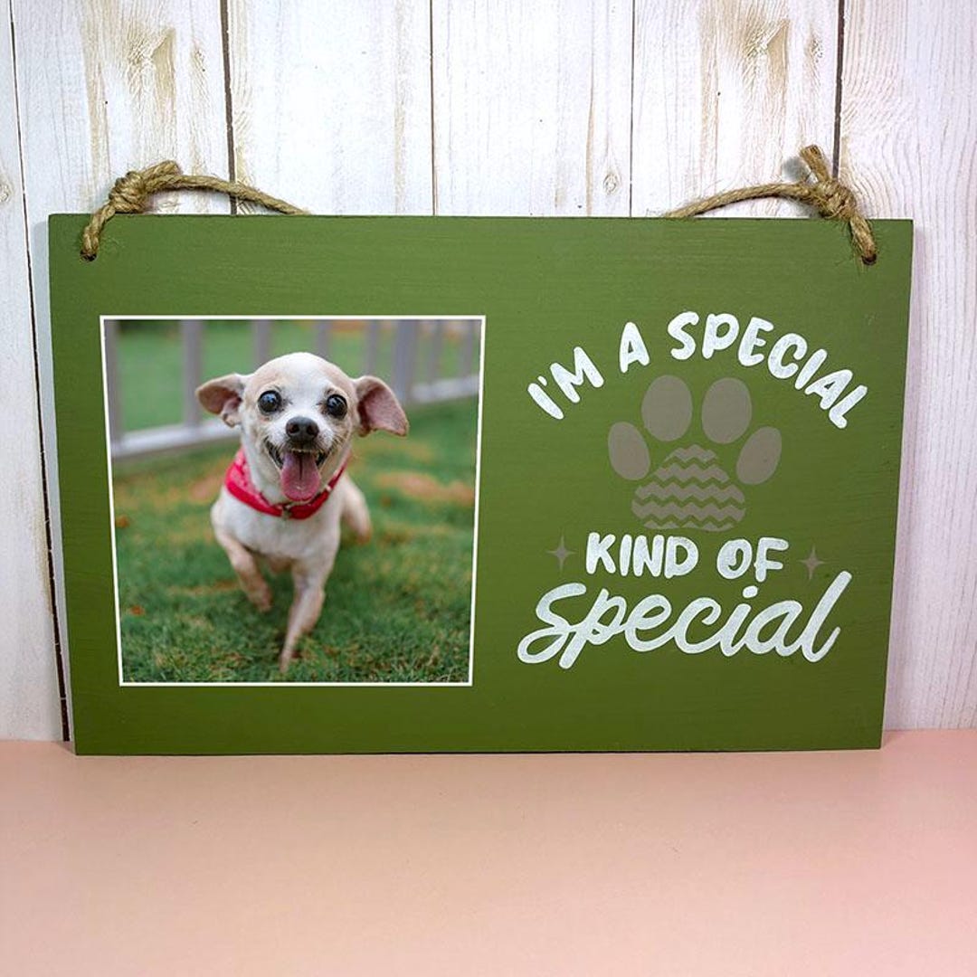 Custom Pet Photo Sign - Pet Art Board Sign - I'm a Special Kind of ...