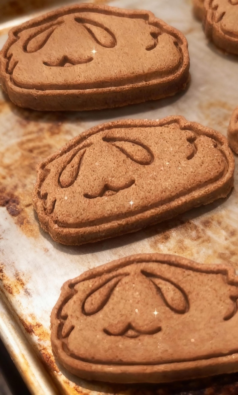 Silksong Hollow Song Knight Flea, Gingerbread Clay Magnet, Necklace ...