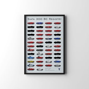 The Complete Siata 300 BC Registry Poster - Etsy