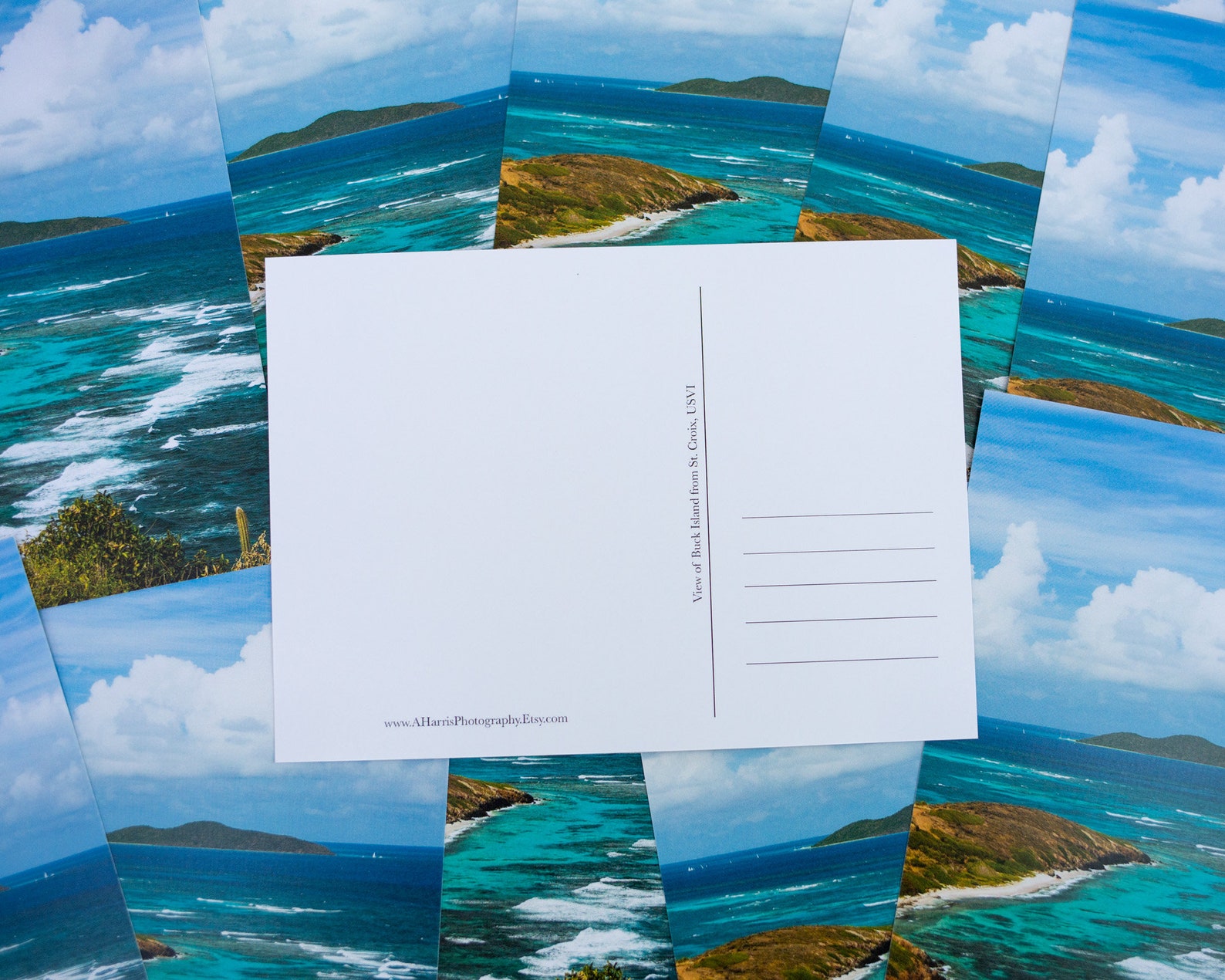Ocean Photo Tropical Postcards Buck Island St. Croix USVI Pen Pal ...